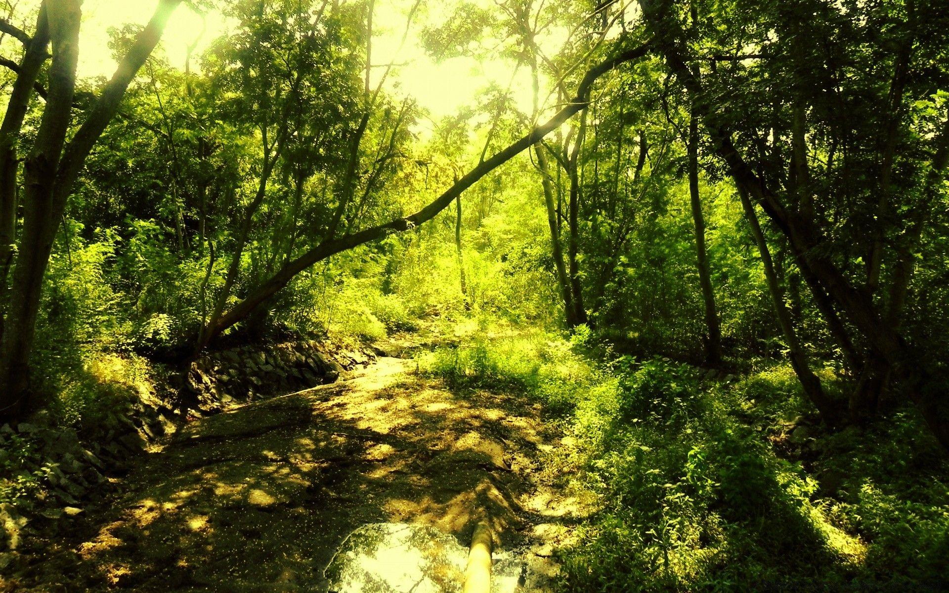 Enchanted Landscape Wallpapers - Top Free Enchanted Landscape ...