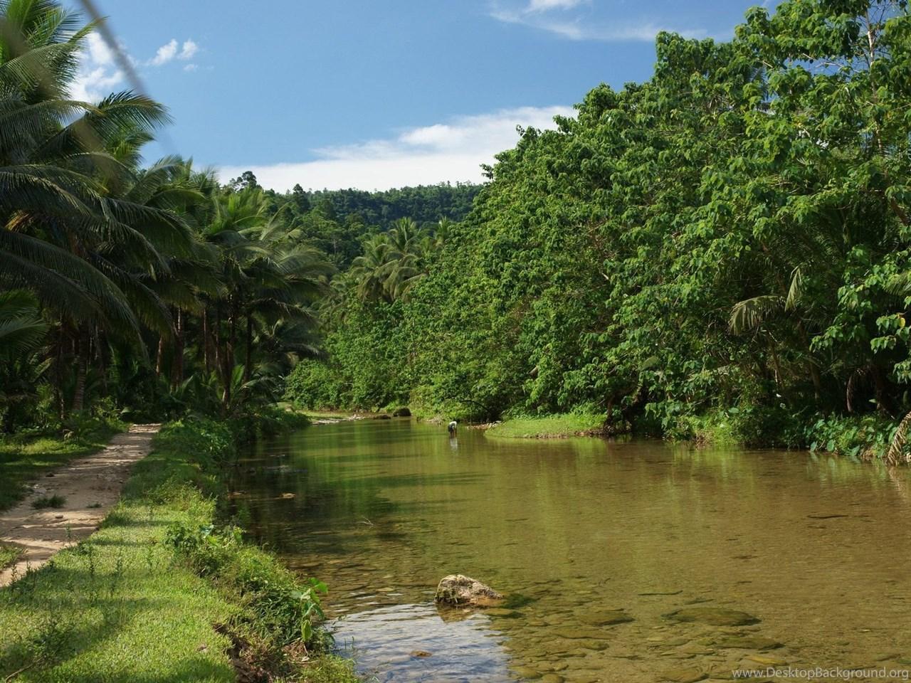 Jungle River Wallpapers - Top Free Jungle River Backgrounds ...