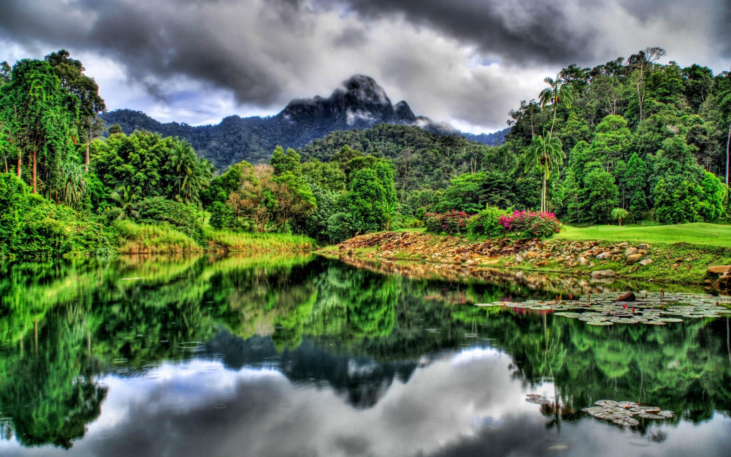 Jungle River Wallpapers - Top Free Jungle River Backgrounds ...