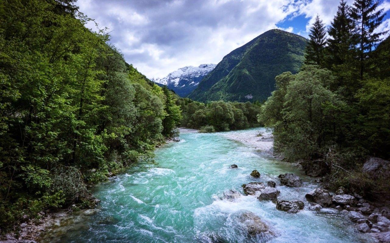 Jungle River Wallpapers - Top Free Jungle River Backgrounds ...