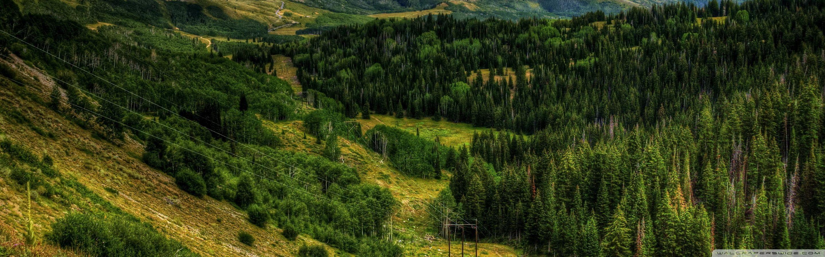 Utah Forest Wallpapers - Top Free Utah Forest Backgrounds - WallpaperAccess