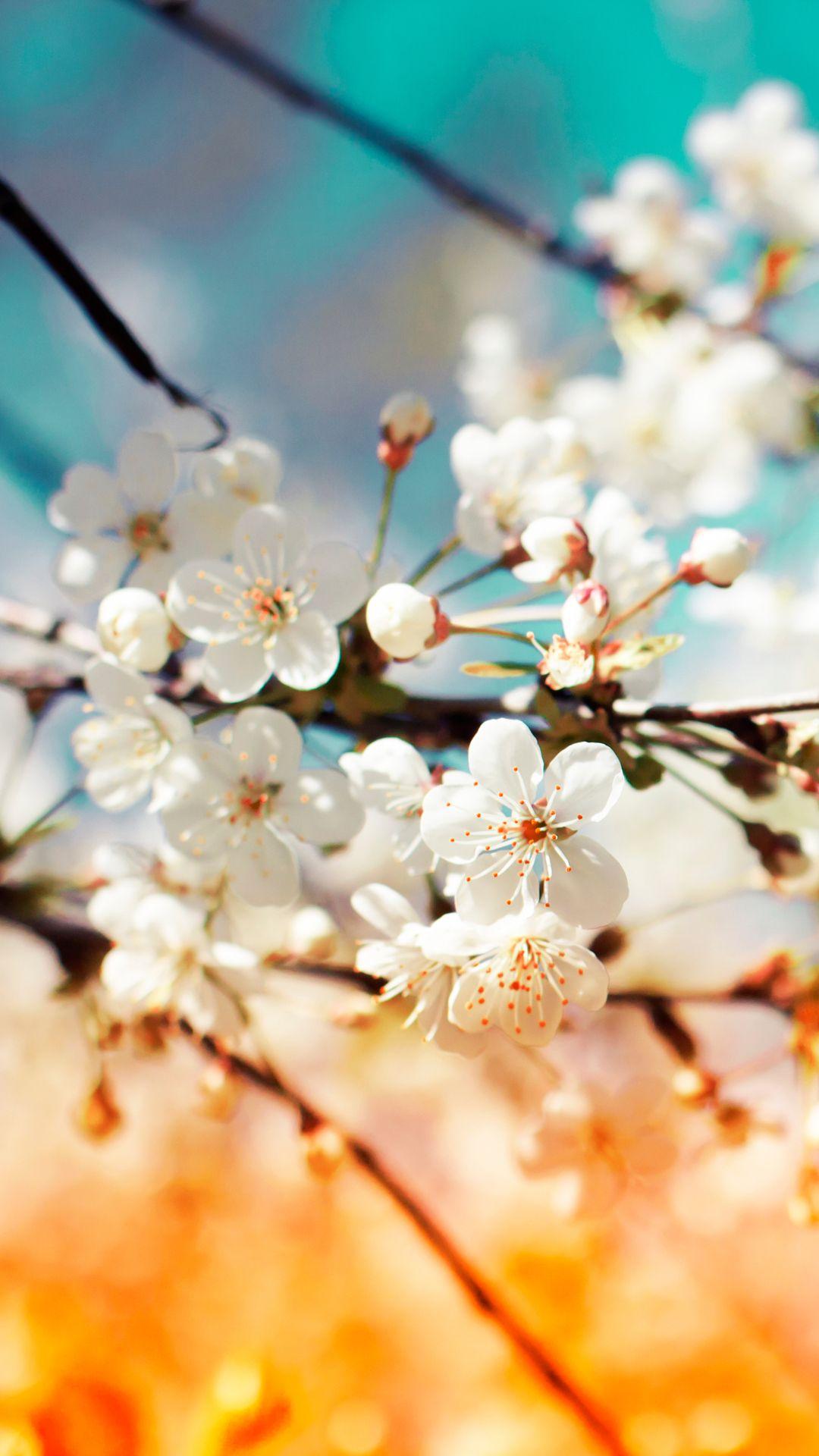 Spring Vertical Wallpapers - Top Free Spring Vertical Backgrounds ...