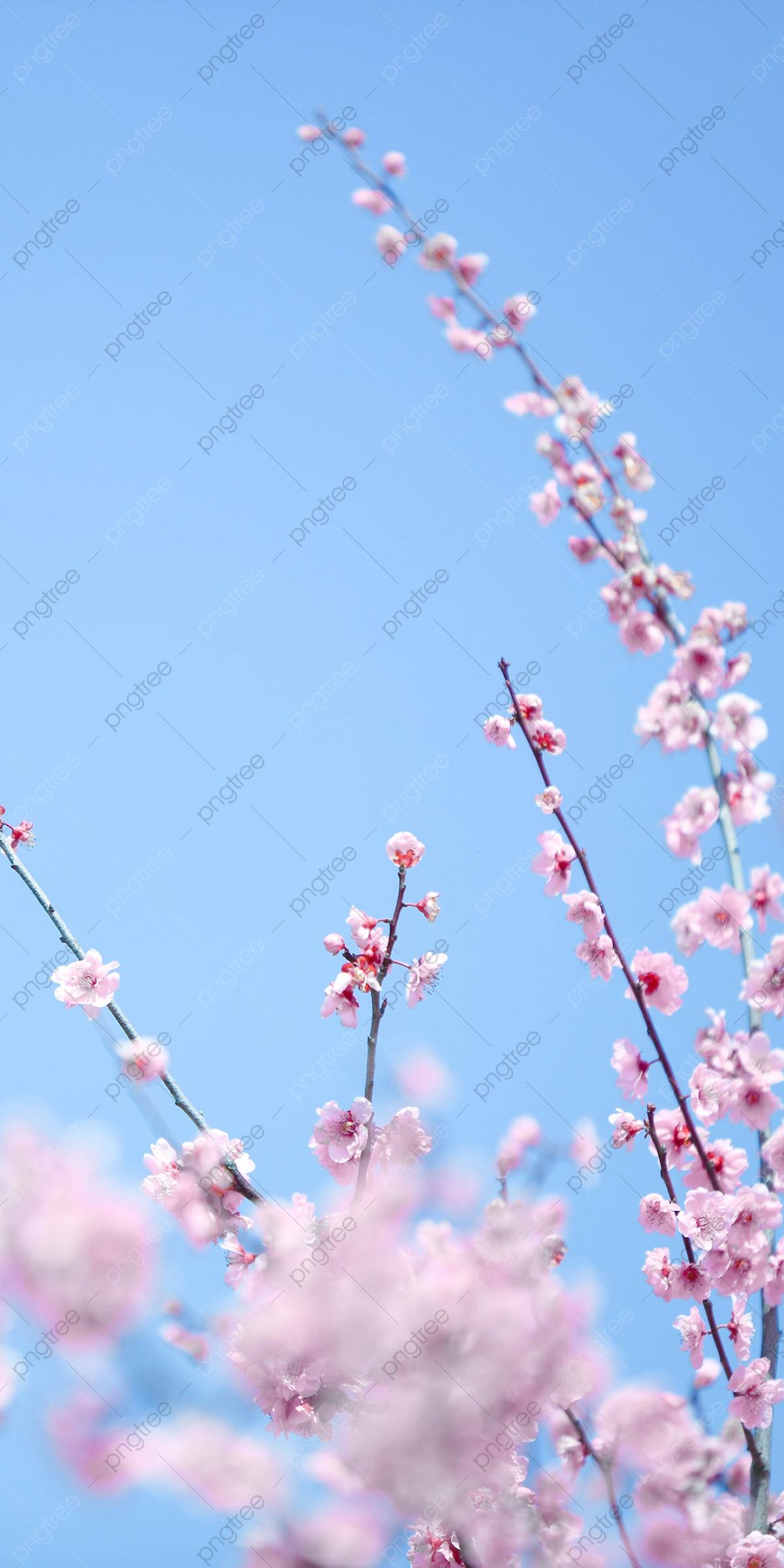 Spring Vertical Wallpapers - Top Free Spring Vertical Backgrounds ...
