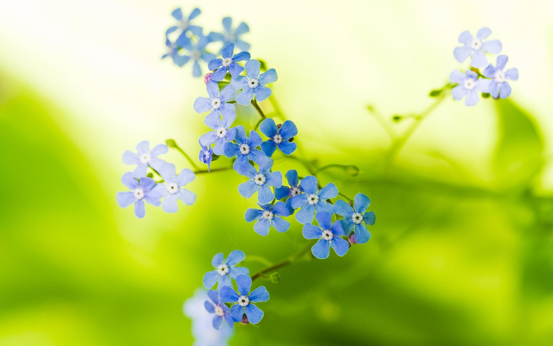 Spring Vertical Wallpapers - Top Free Spring Vertical Backgrounds ...