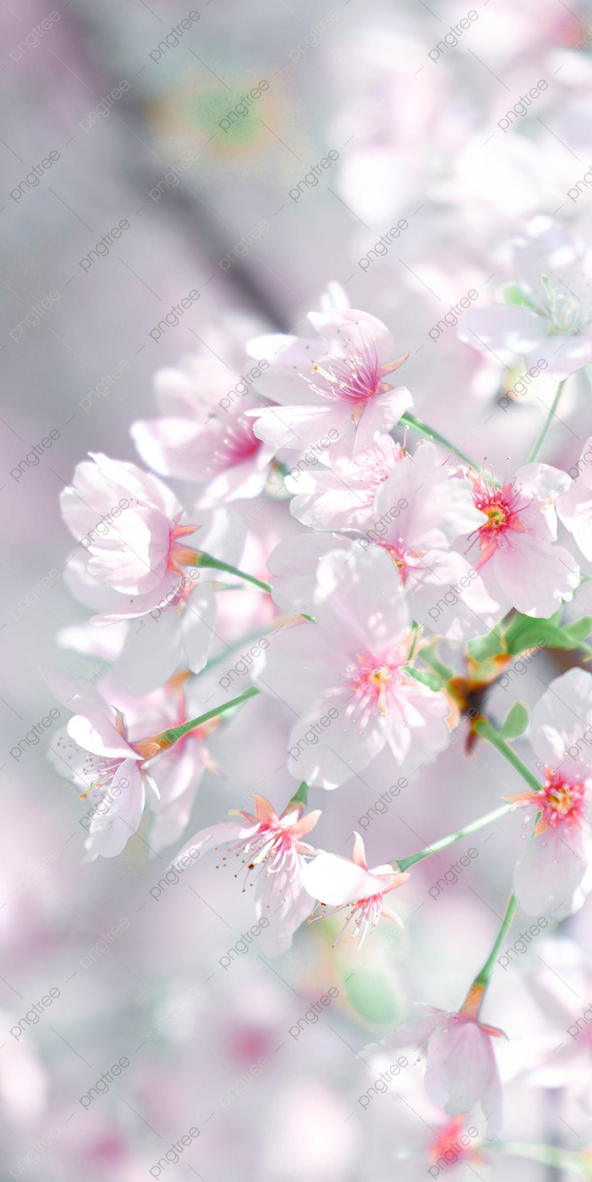 Spring Vertical Wallpapers - Top Free Spring Vertical Backgrounds ...