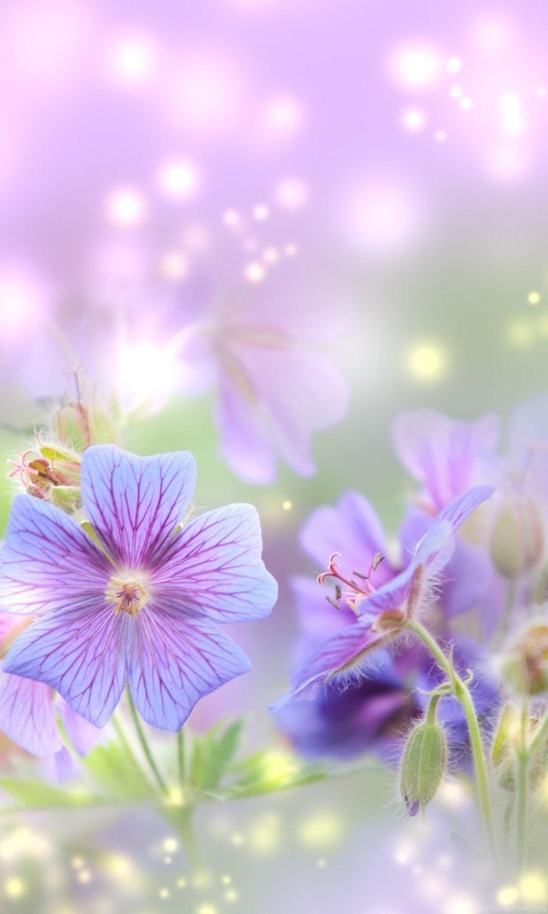 Spring Vertical Wallpapers - Top Free Spring Vertical Backgrounds ...