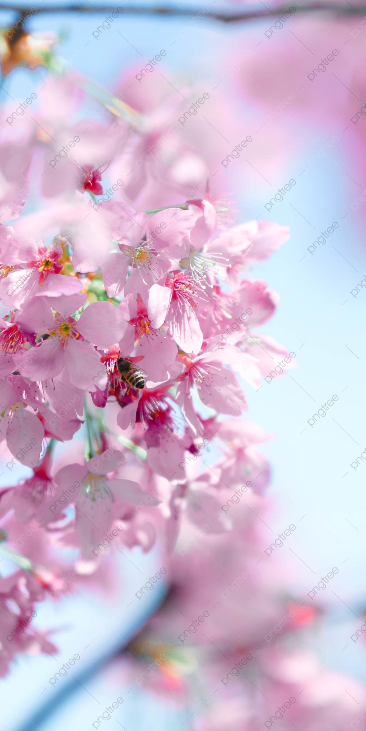 Spring Vertical Wallpapers - Top Free Spring Vertical Backgrounds ...
