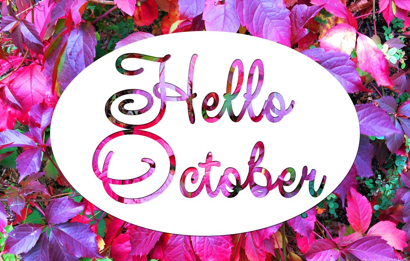 Pink October Wallpapers - Top Free Pink October Backgrounds ...