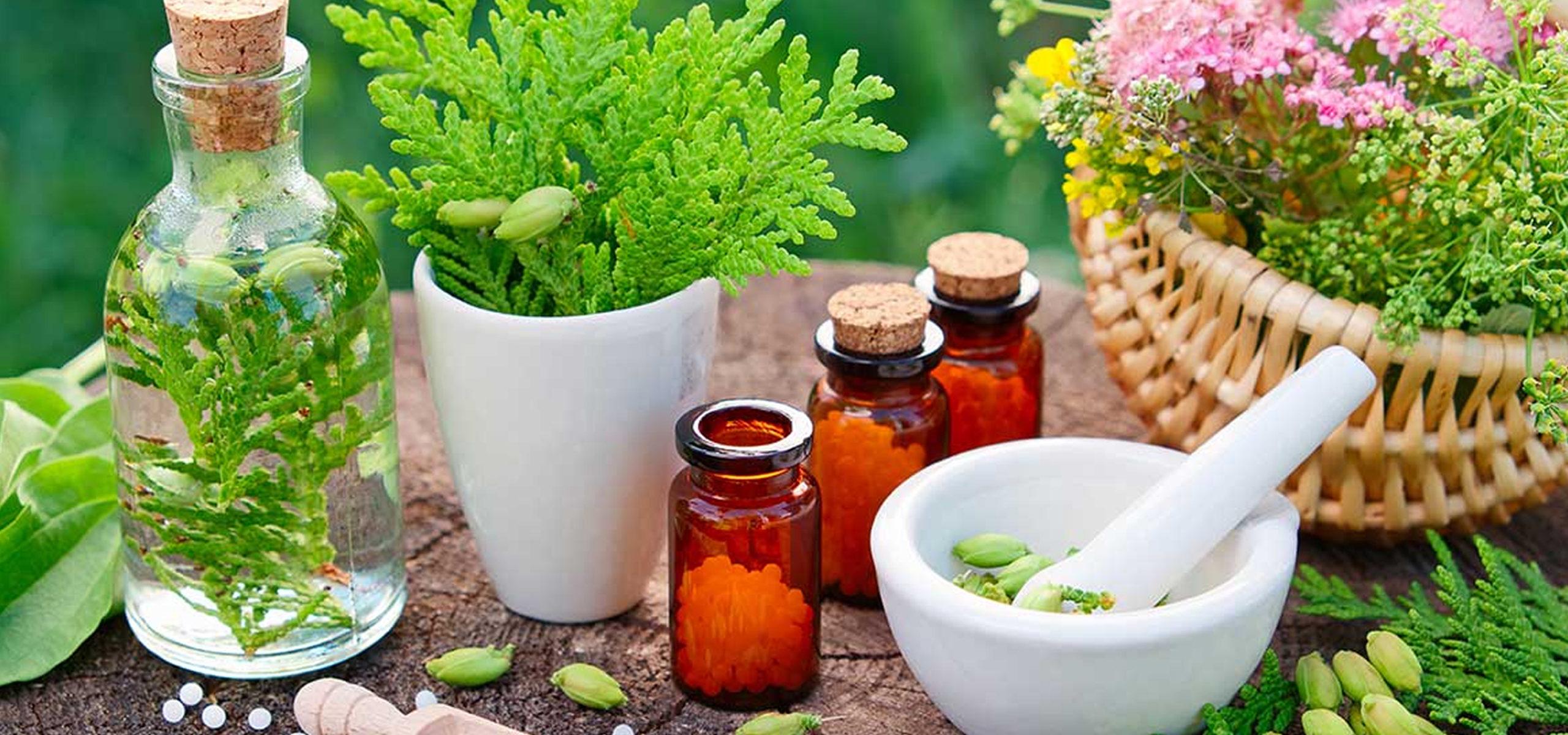 Naturopathy Wallpapers - Top Free Naturopathy Backgrounds - WallpaperAccess