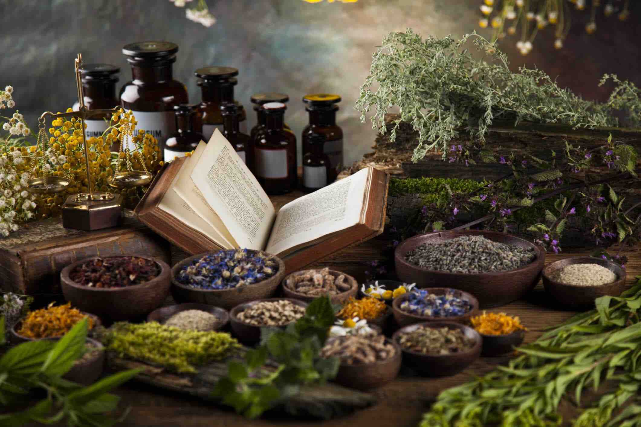 Naturopathy Wallpapers - Top Free Naturopathy Backgrounds - WallpaperAccess