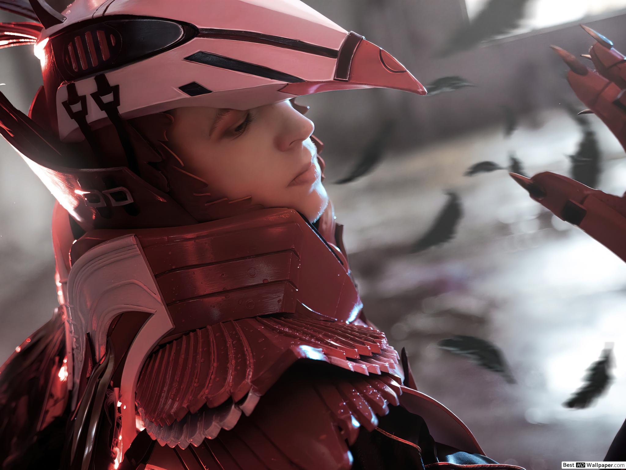 Blood Raven Wallpapers - Top Free Blood Raven Backgrounds - WallpaperAccess