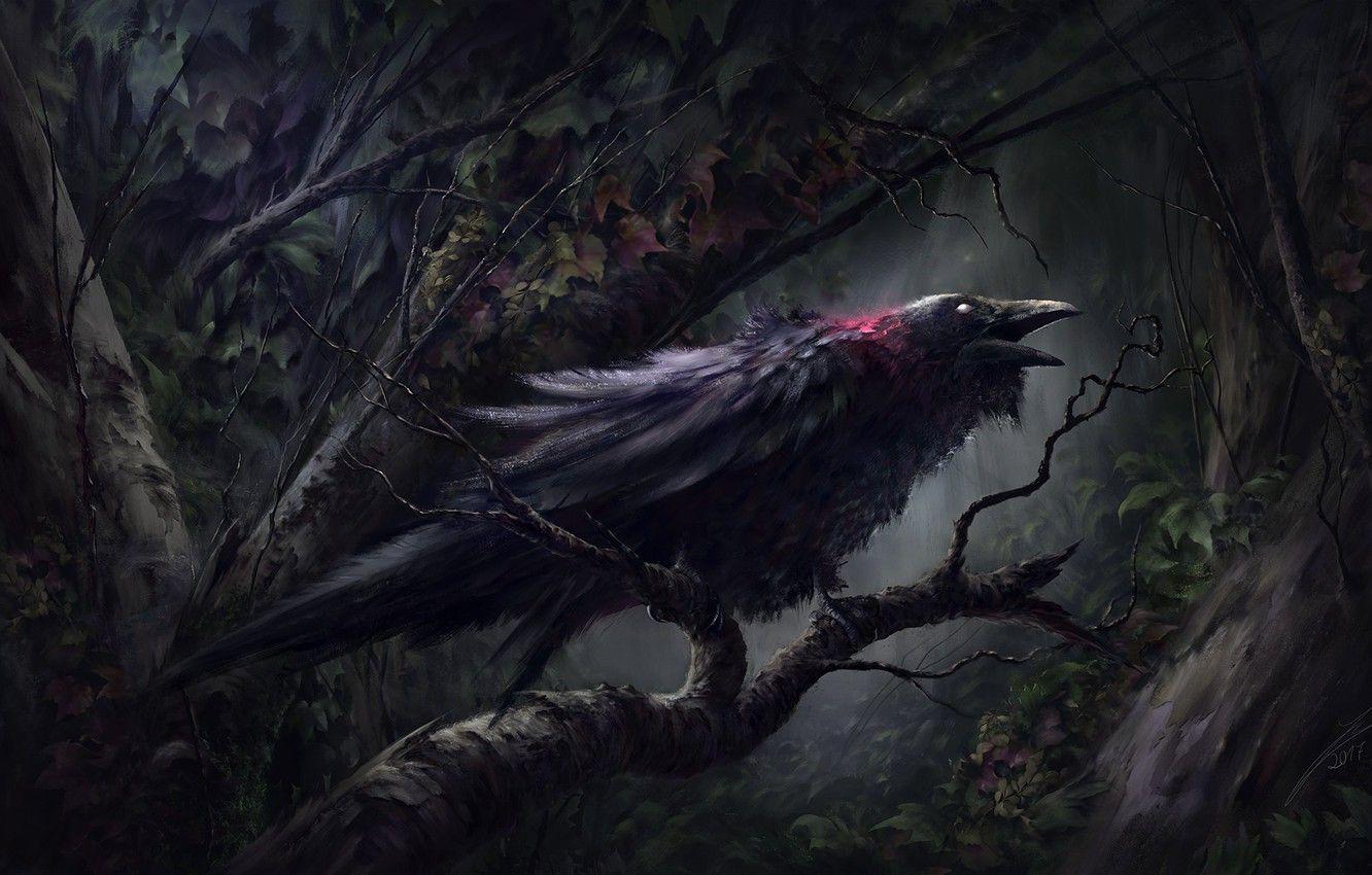 Blood Raven Wallpapers - Top Free Blood Raven Backgrounds - WallpaperAccess