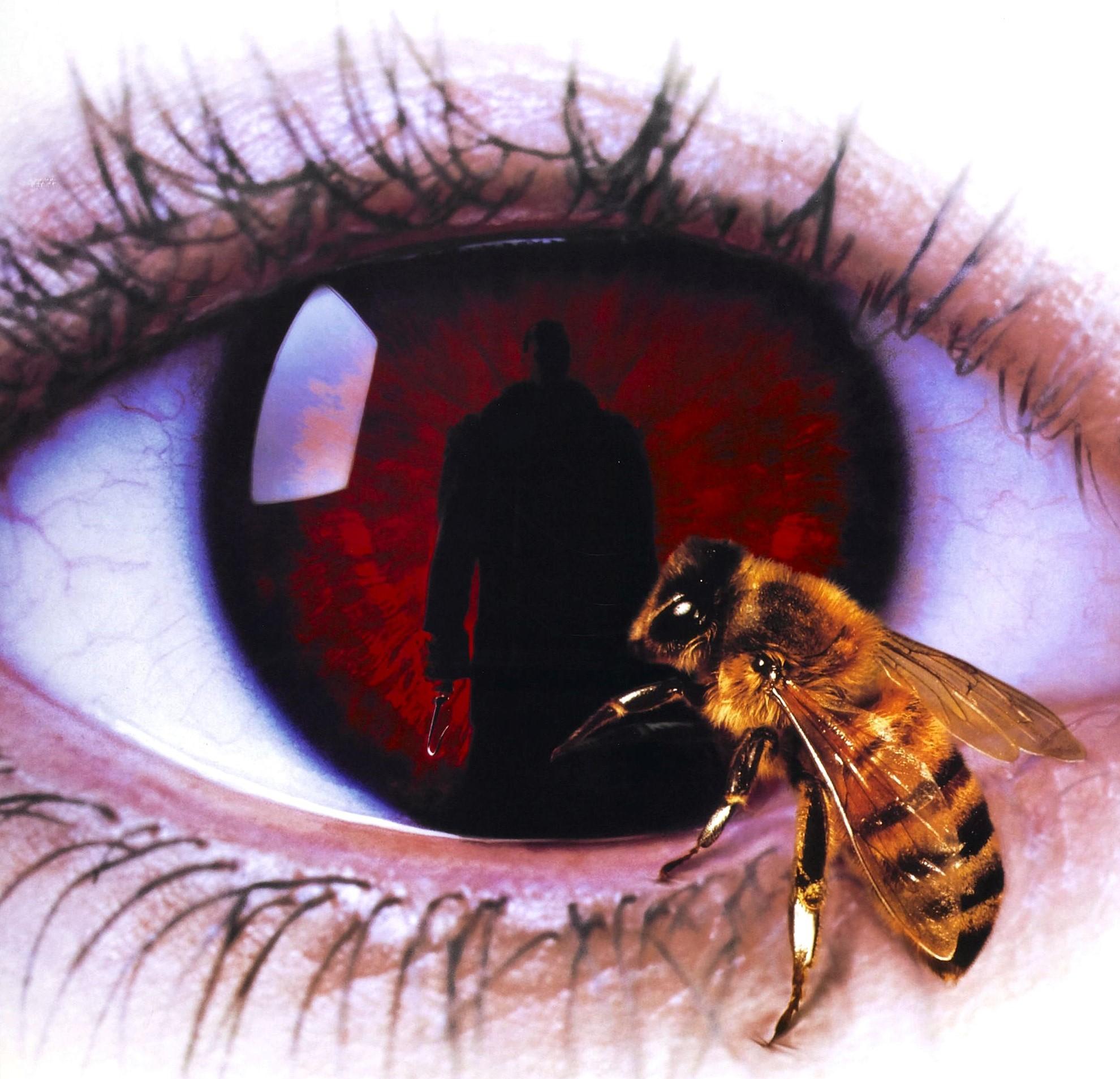 Candyman Wallpapers - Top Free Candyman Backgrounds - WallpaperAccess