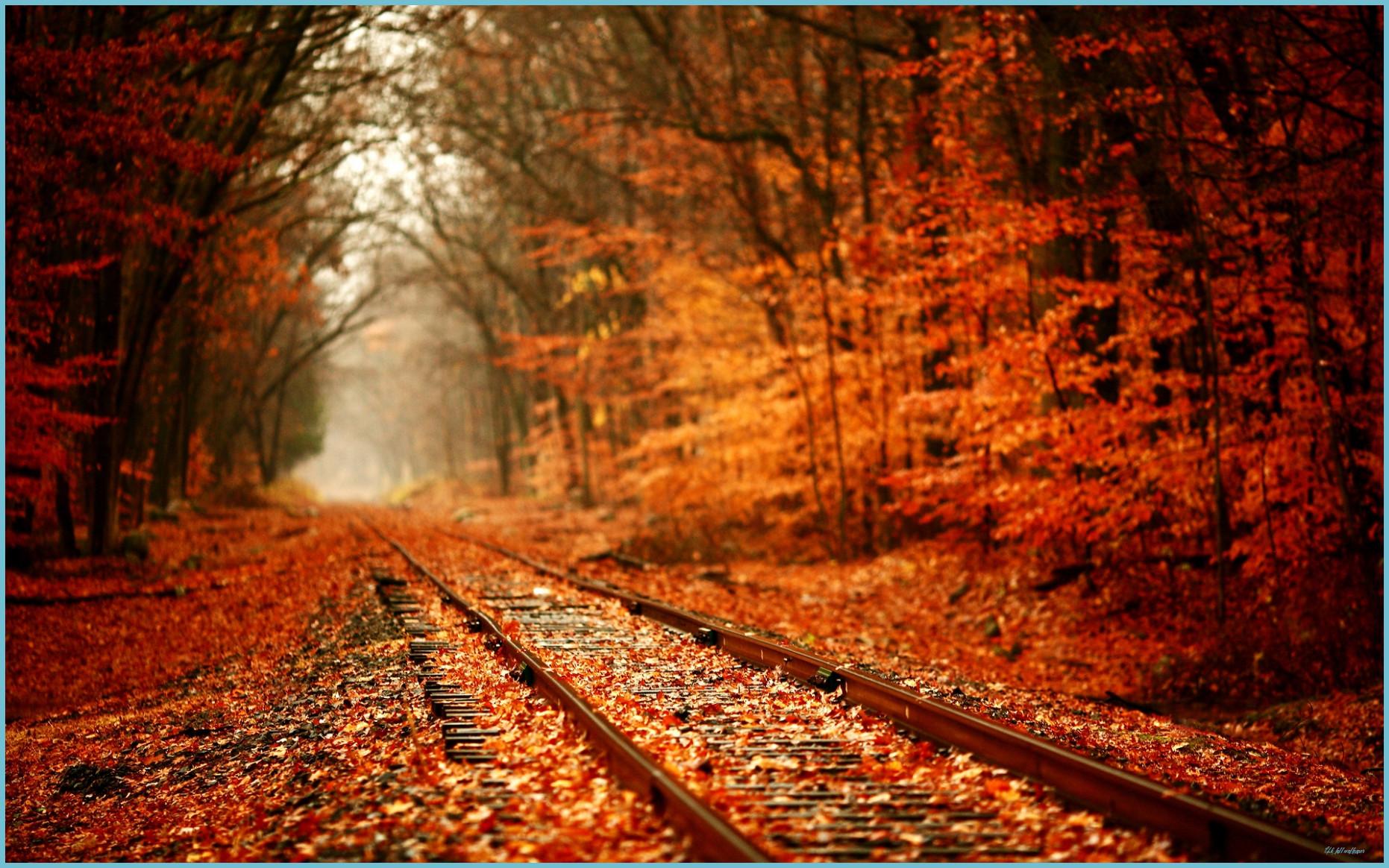 Autumn 8k Wallpapers - Top Free Autumn 8k Backgrounds - WallpaperAccess