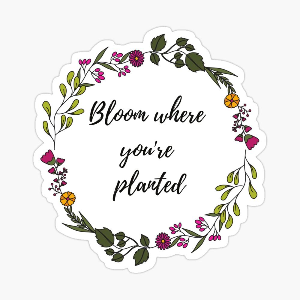 Bloom Where You Are Planted Wallpapers - Top Free Bloom Where You Are ...