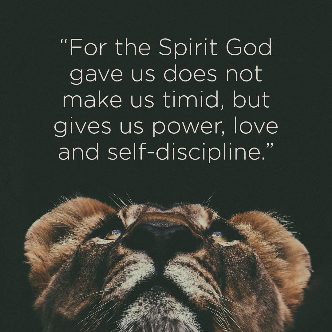 Self Discipline Wallpapers - Top Free Self Discipline Backgrounds ...