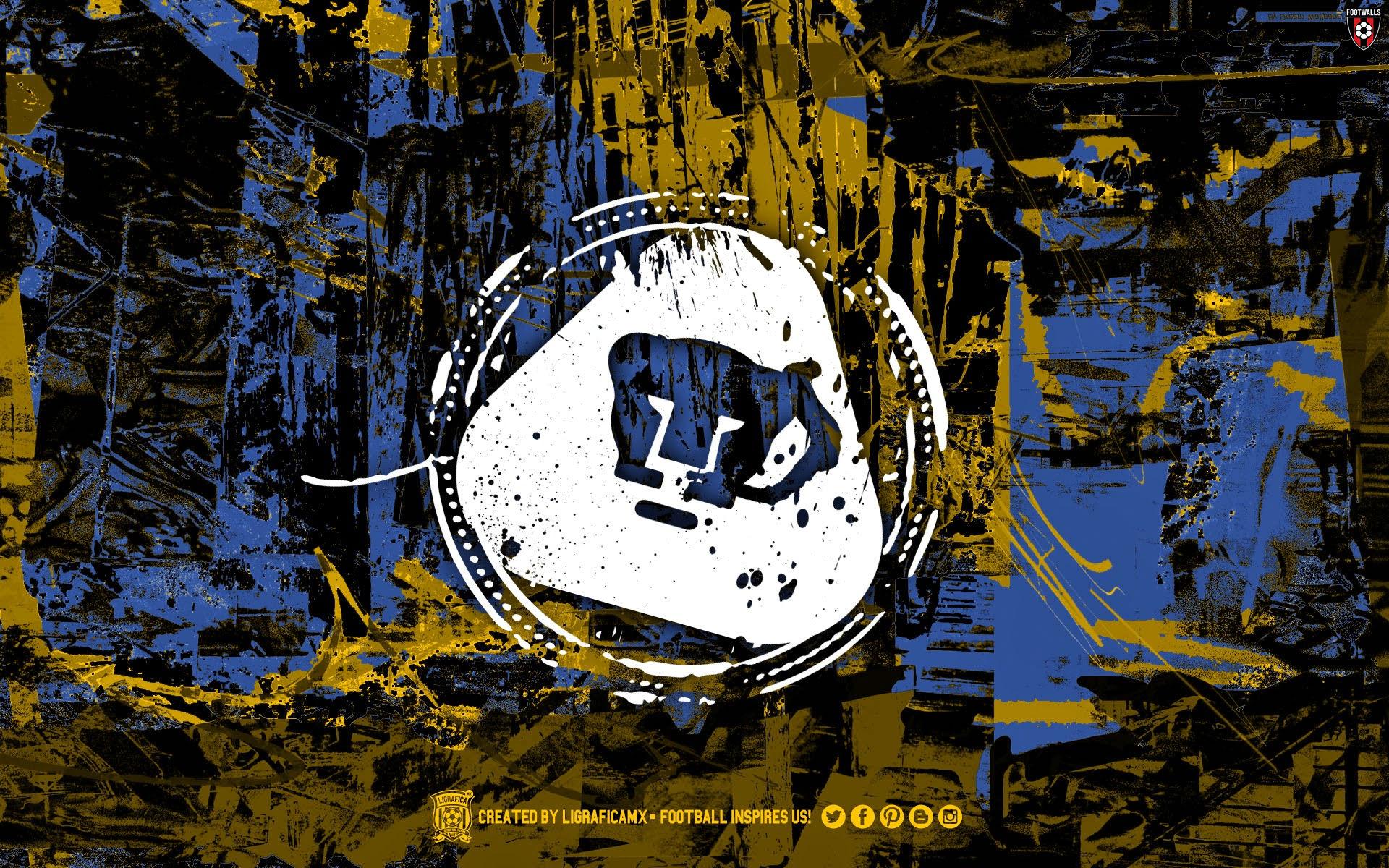 Pumas UNAM Wallpapers - Top Free Pumas UNAM Backgrounds - WallpaperAccess