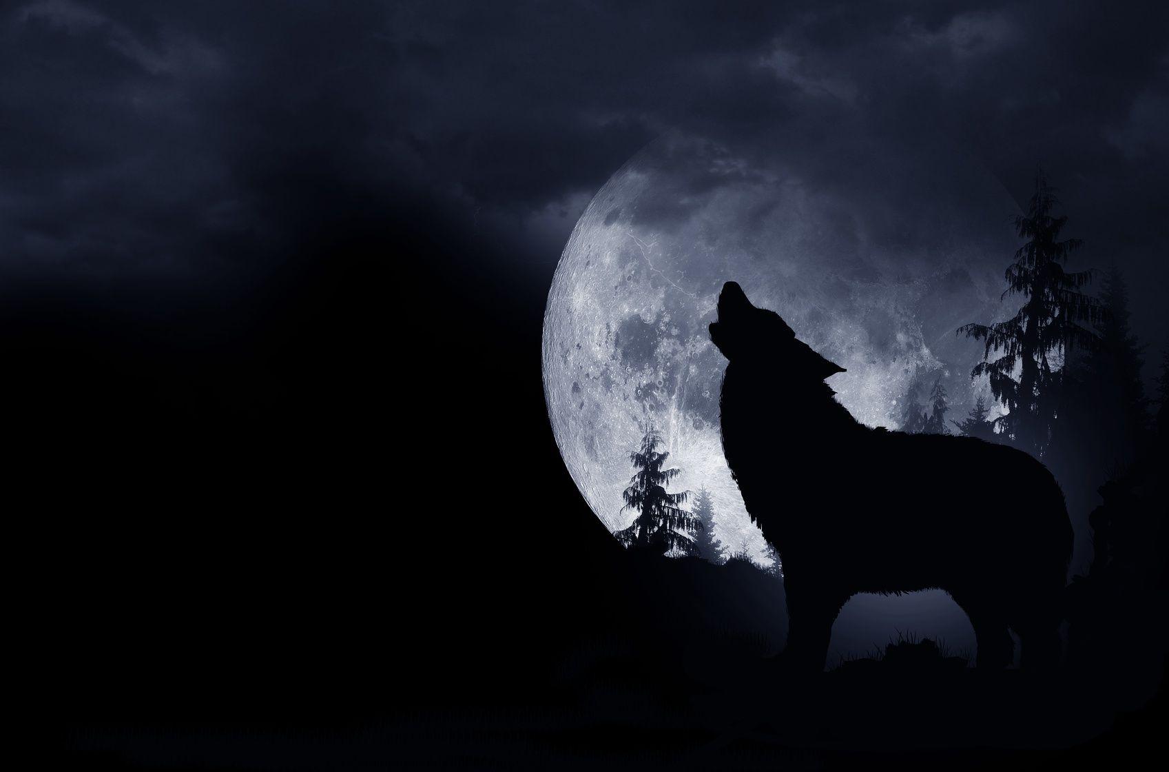Halloween Wolf Wallpapers - Top Free Halloween Wolf Backgrounds ...