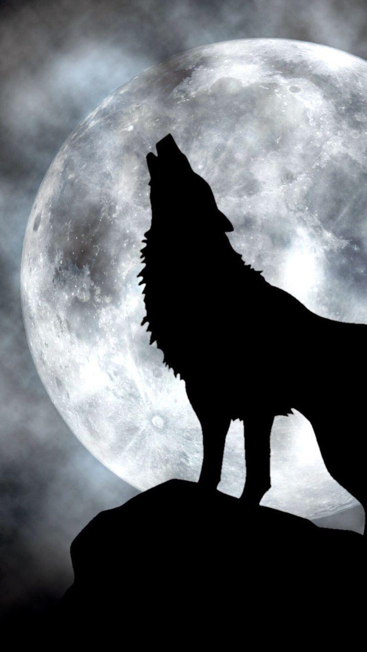 Halloween Wolf Wallpapers - Top Free Halloween Wolf Backgrounds ...