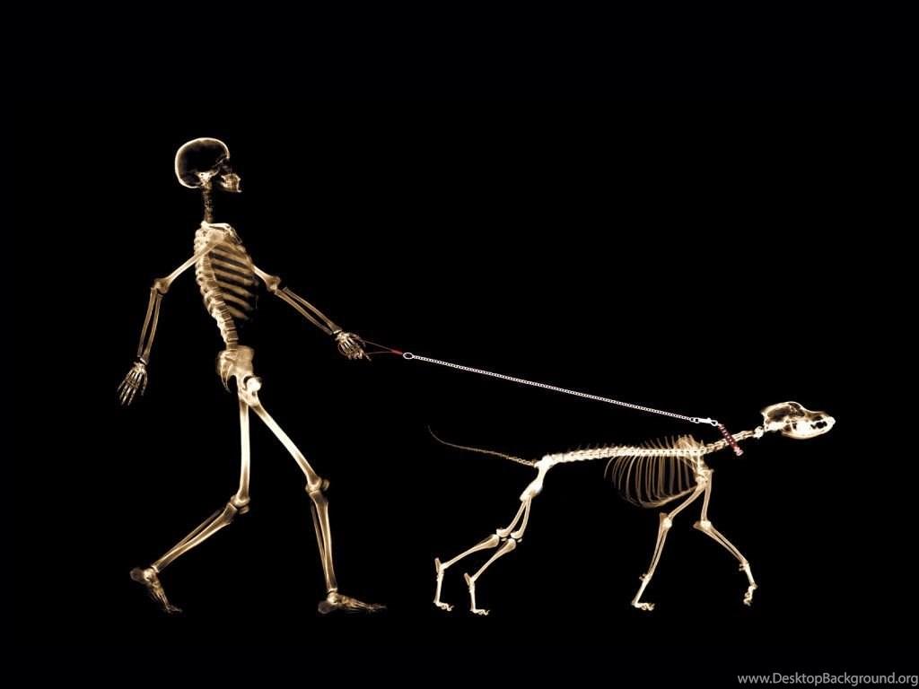 Funny Tumblr Desktop Wallpapers - Top Free Funny Tumblr Desktop ...