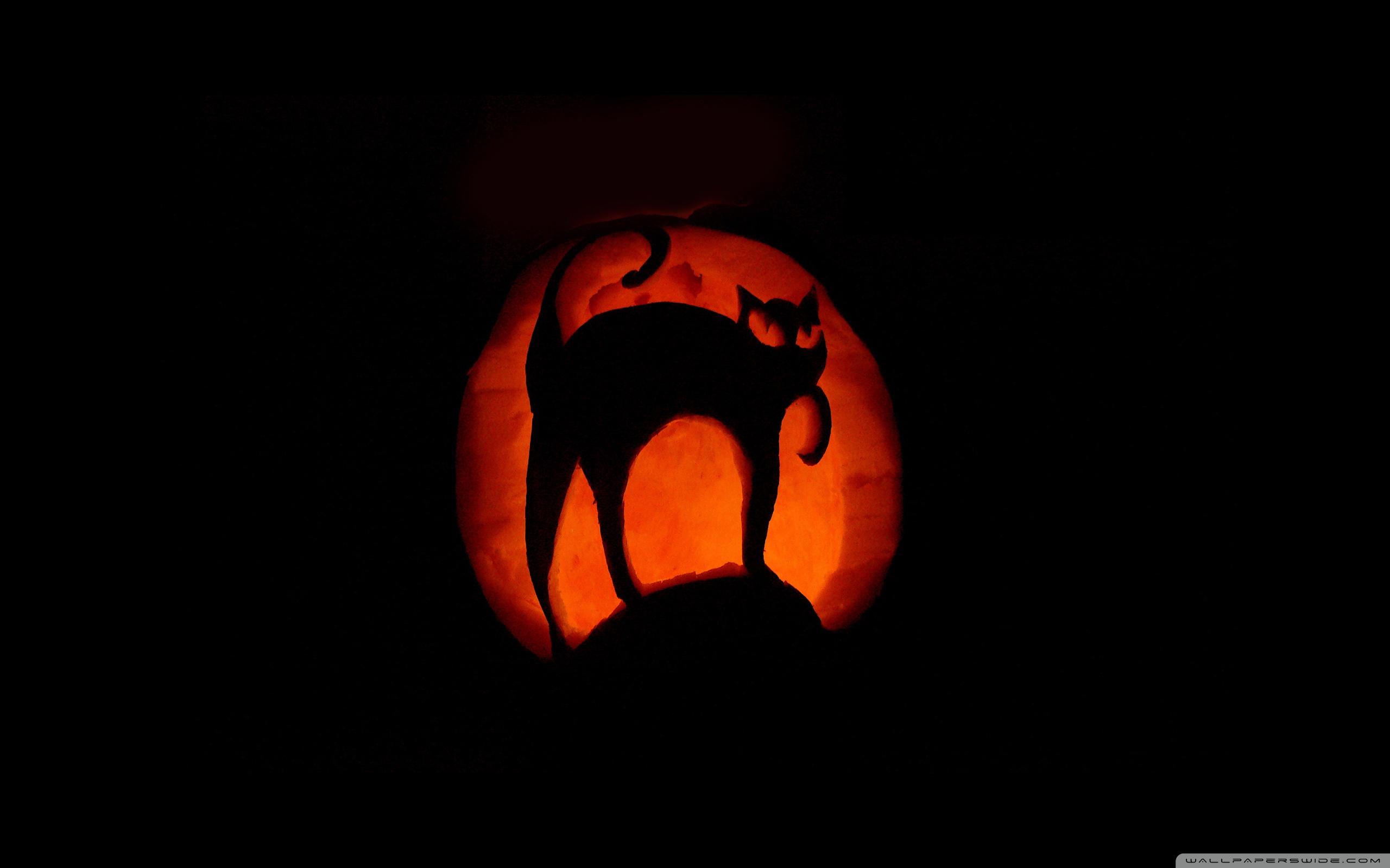 Pumpkin Art Wallpapers - Top Free Pumpkin Art Backgrounds - WallpaperAccess