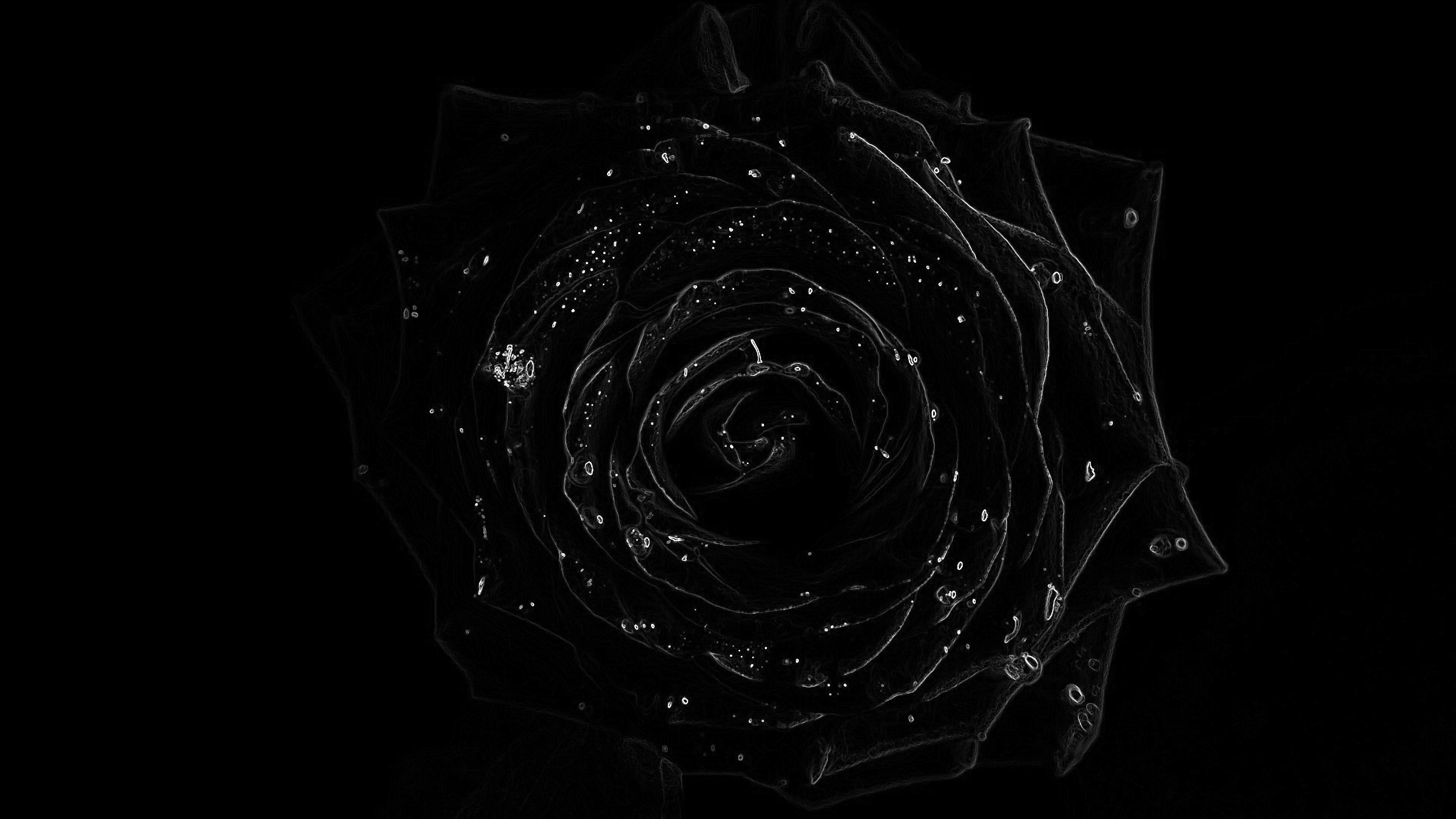 Dark Rose Aesthetic Desktop Wallpapers - Top Free Dark Rose Aesthetic ...