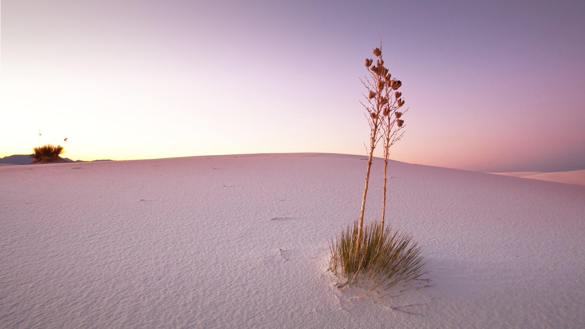 New Mexico Landscape Wallpapers - Top Free New Mexico Landscape ...