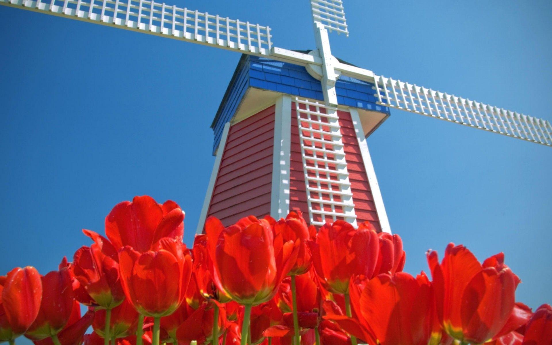 Amsterdam Spring Wallpapers - Top Free Amsterdam Spring Backgrounds ...