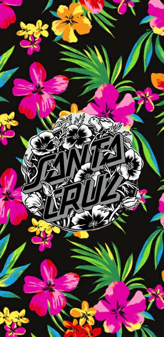 Santa Cruiz Logo Desktop Wallpapers - Top Free Santa Cruiz Logo Desktop ...