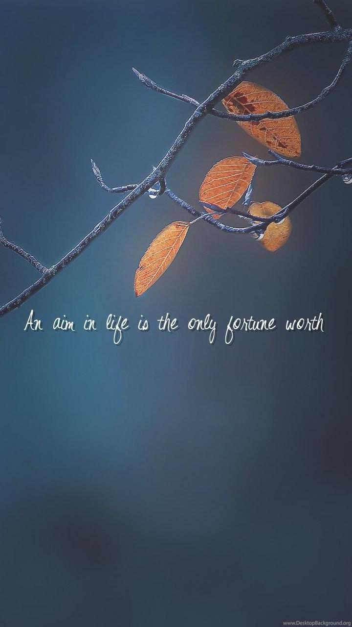 Philosophy Phone Wallpapers - Top Free Philosophy Phone Backgrounds ...