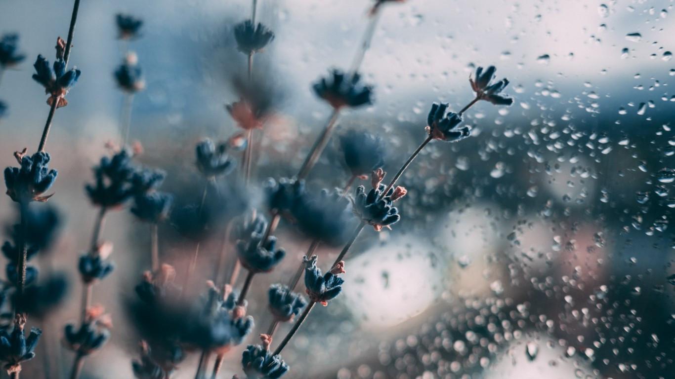 Rain Laptop Wallpapers - Top Free Rain Laptop Backgrounds - WallpaperAccess