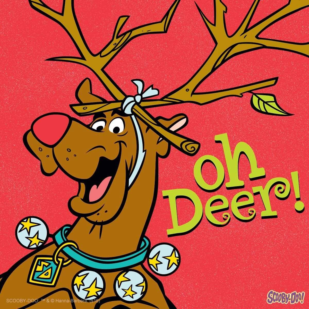 Scooby Doo Christmas Wallpapers - Top Free Scooby Doo Christmas ...