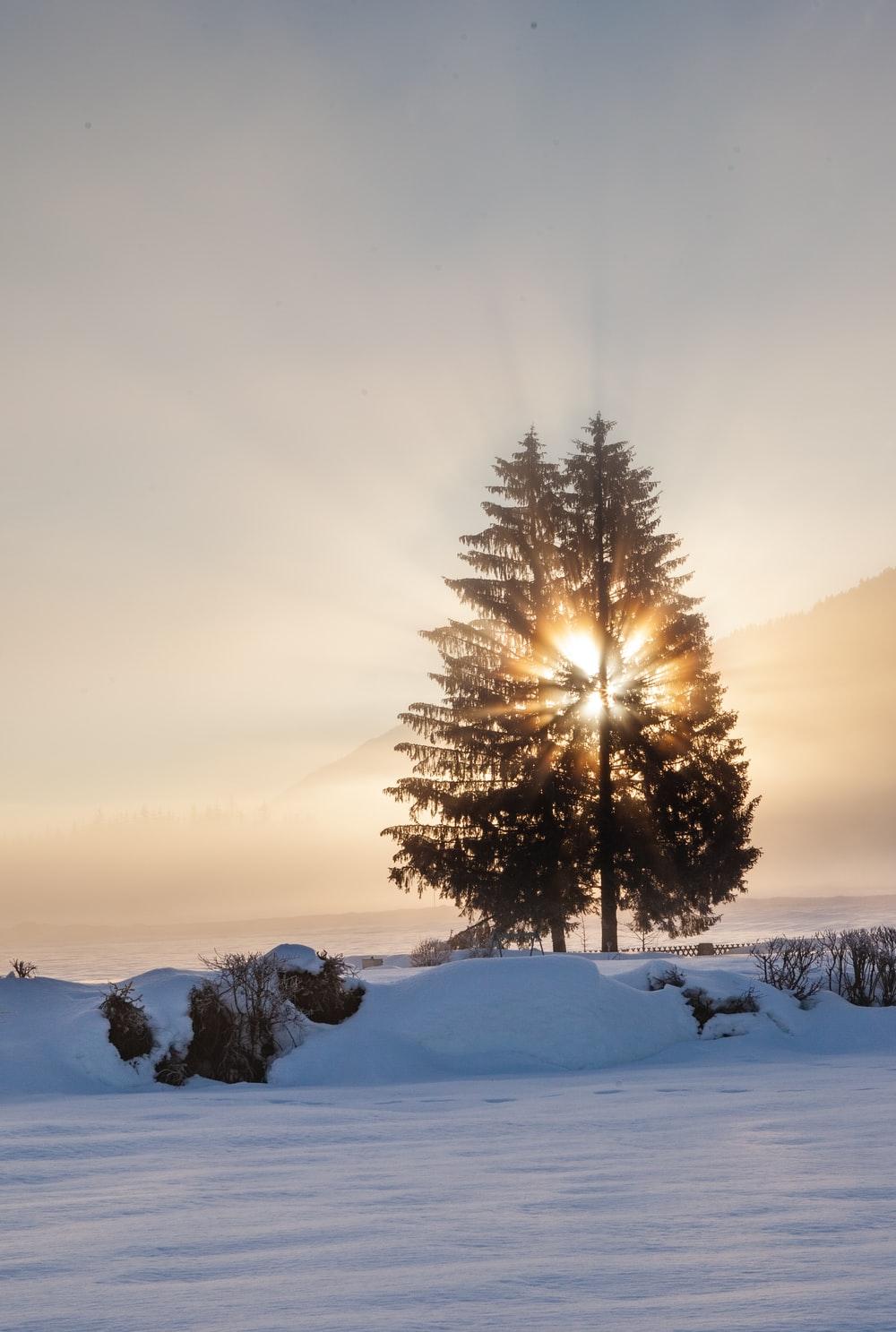 Winter Sun Desktop Wallpapers - Top Free Winter Sun Desktop Backgrounds ...