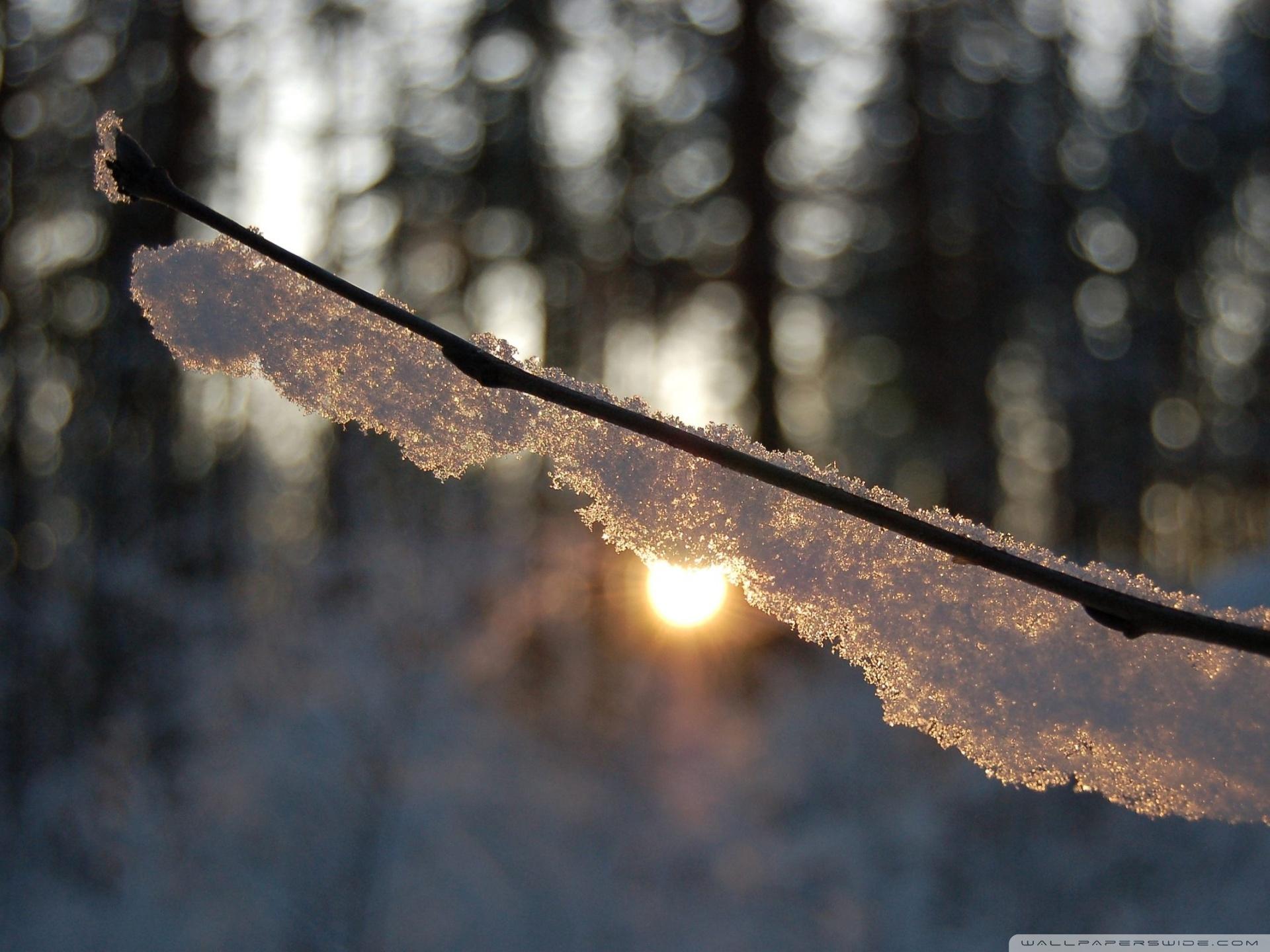 Winter Sun Desktop Wallpapers - Top Free Winter Sun Desktop Backgrounds ...