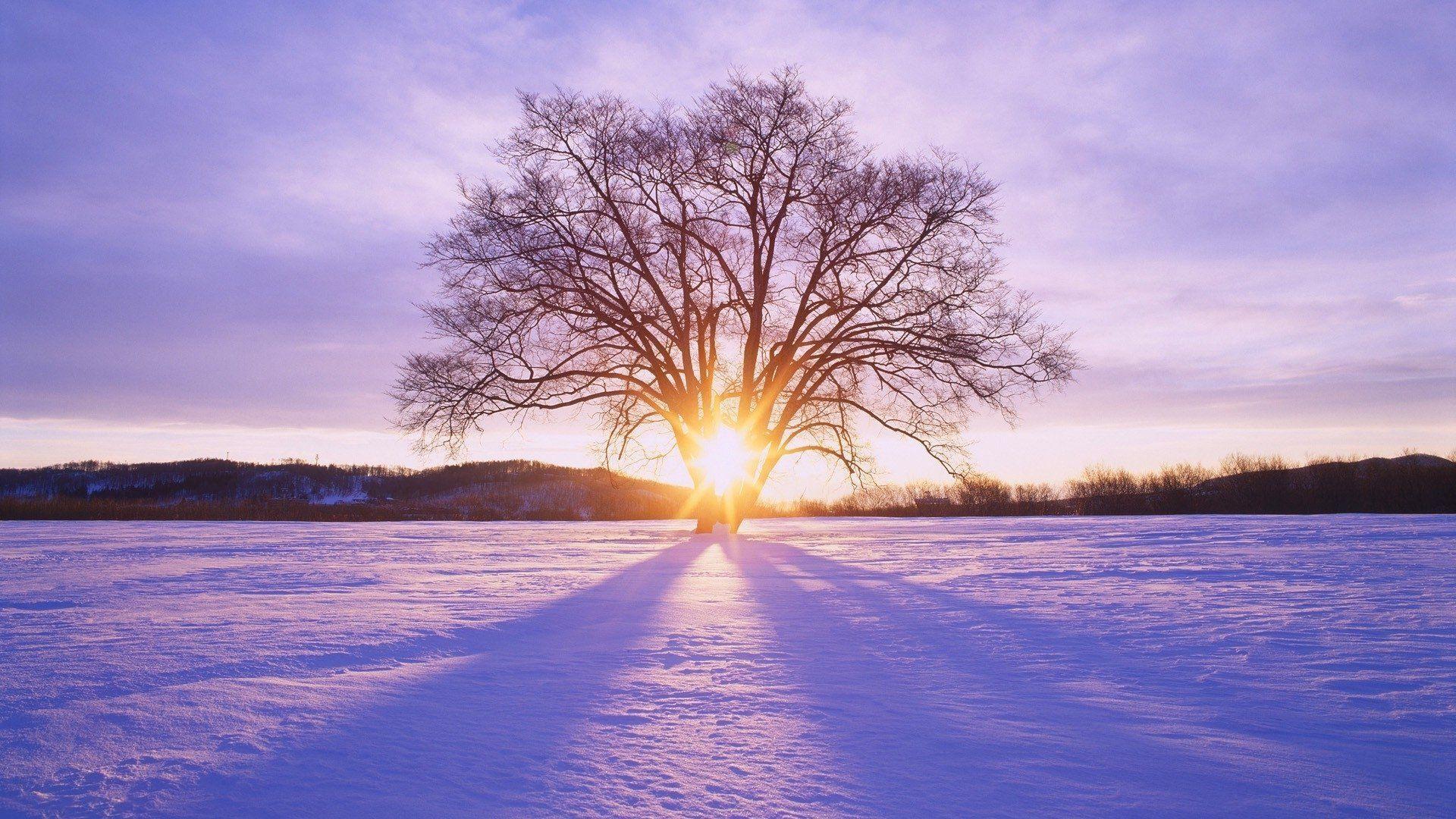 Winter Sun Desktop Wallpapers - Top Free Winter Sun Desktop Backgrounds ...