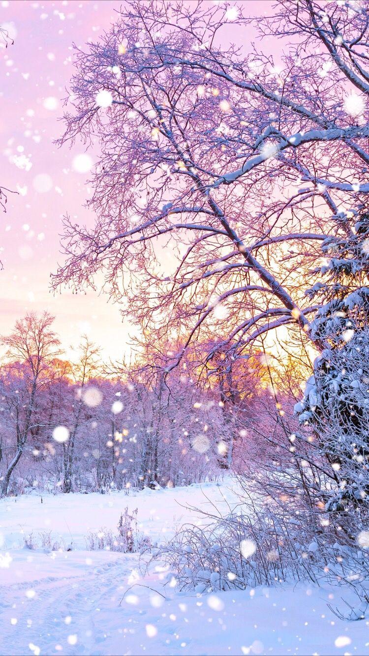 Pink Winter Wonderland Wallpapers - Top Free Pink Winter Wonderland ...
