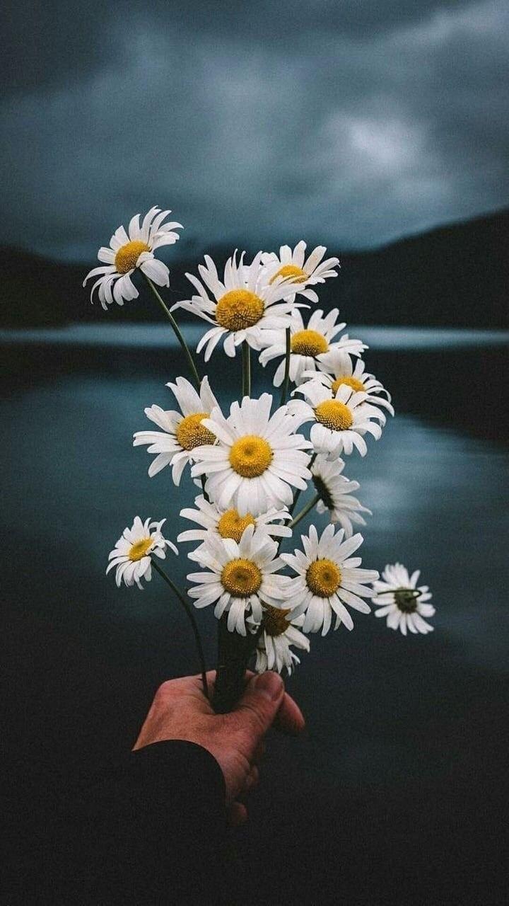 Dior Flower Wallpapers - Top Free Dior Flower Backgrounds - WallpaperAccess