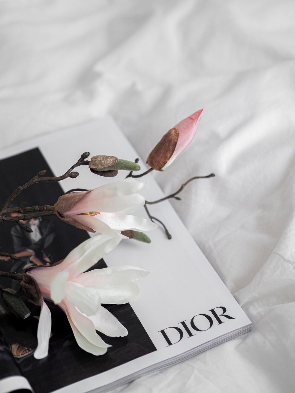 Dior Flower Wallpapers - Top Free Dior Flower Backgrounds - WallpaperAccess