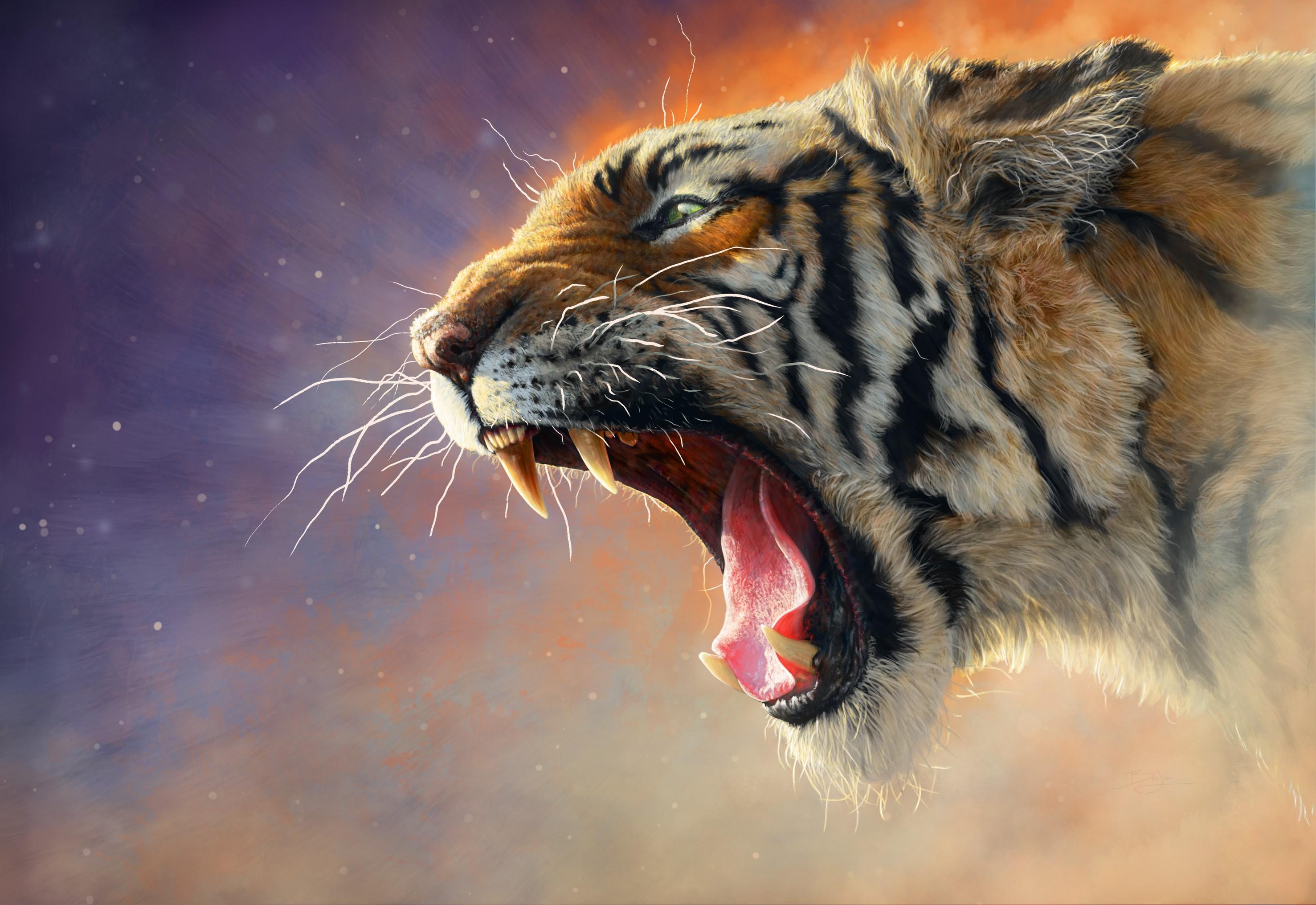 Roaring Tiger Head Wallpapers - Top Free Roaring Tiger Head Backgrounds ...