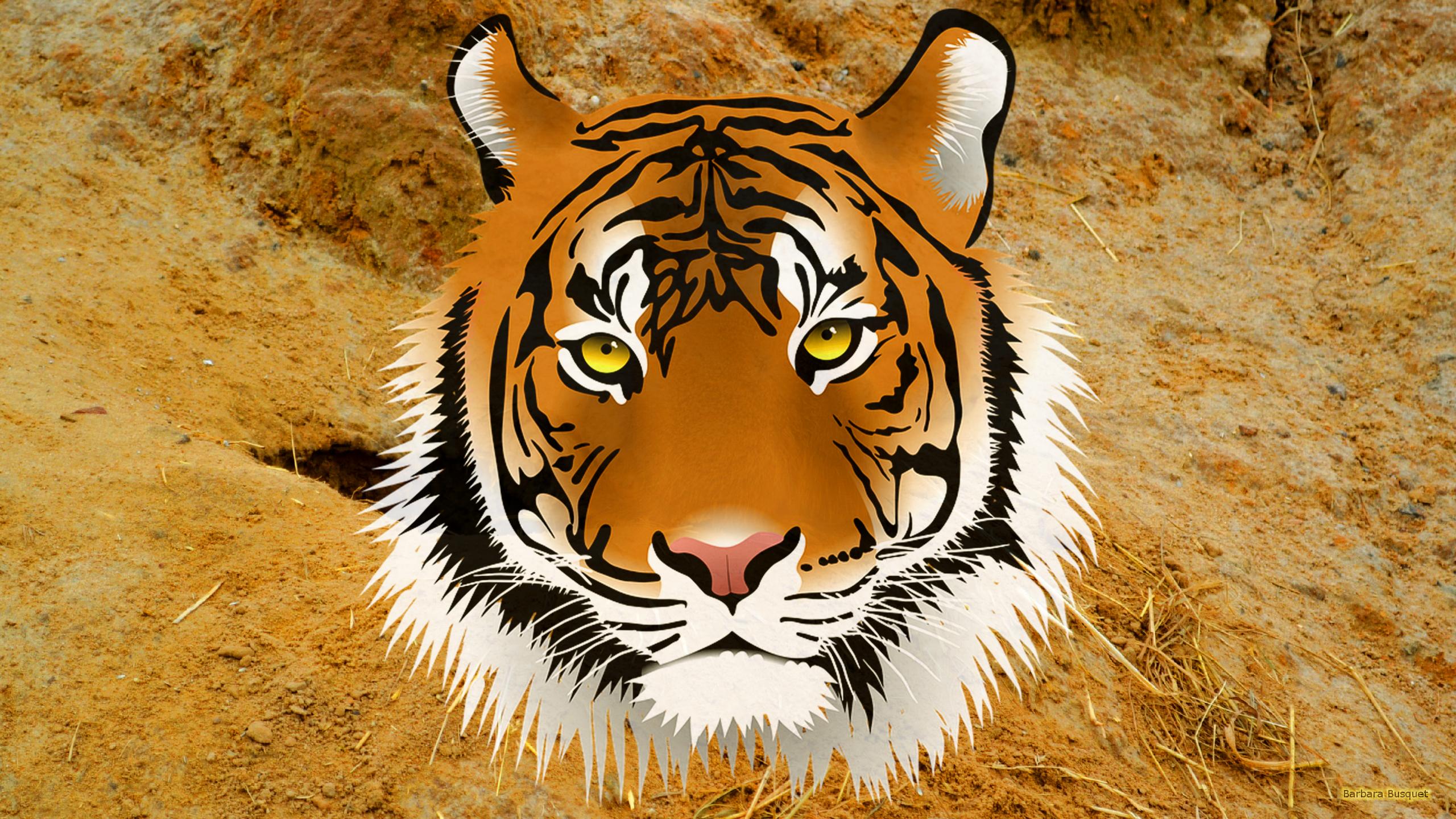 Roaring Tiger Head Wallpapers - Top Free Roaring Tiger Head Backgrounds ...
