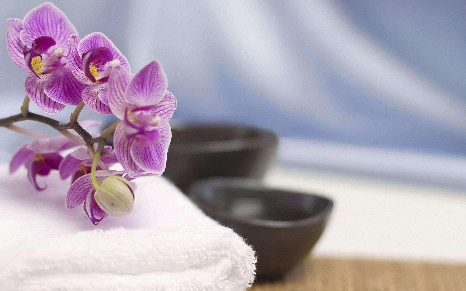 Spa Orchids Wallpapers - Top Free Spa Orchids Backgrounds - WallpaperAccess