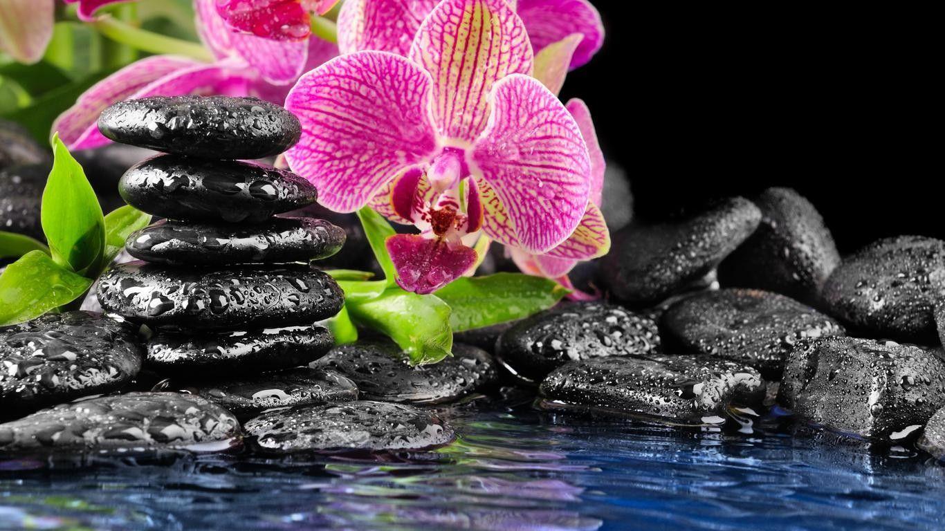 Spa Orchids Wallpapers - Top Free Spa Orchids Backgrounds - WallpaperAccess