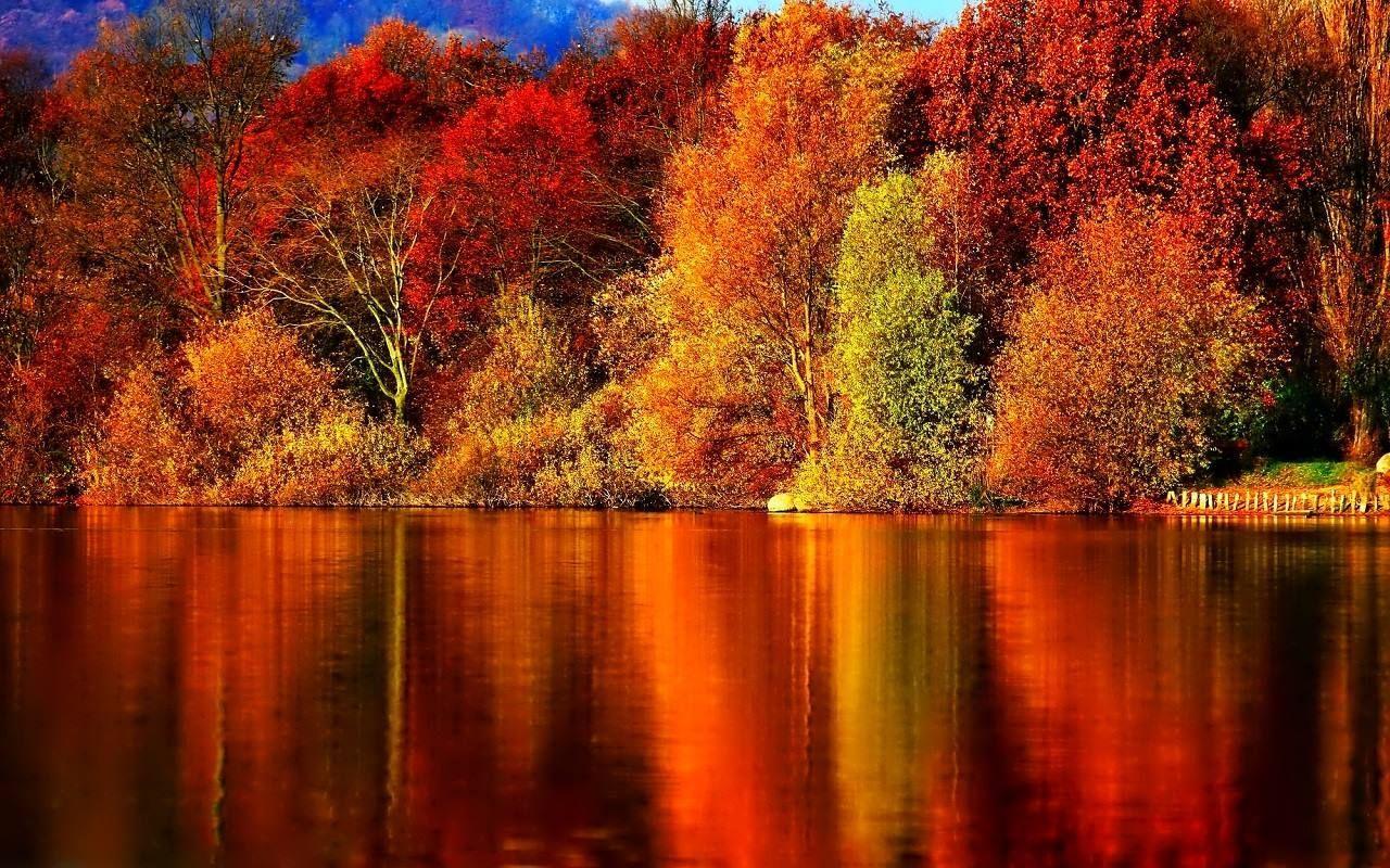 Fireplace Autumn Wallpapers - Top Free Fireplace Autumn Backgrounds ...
