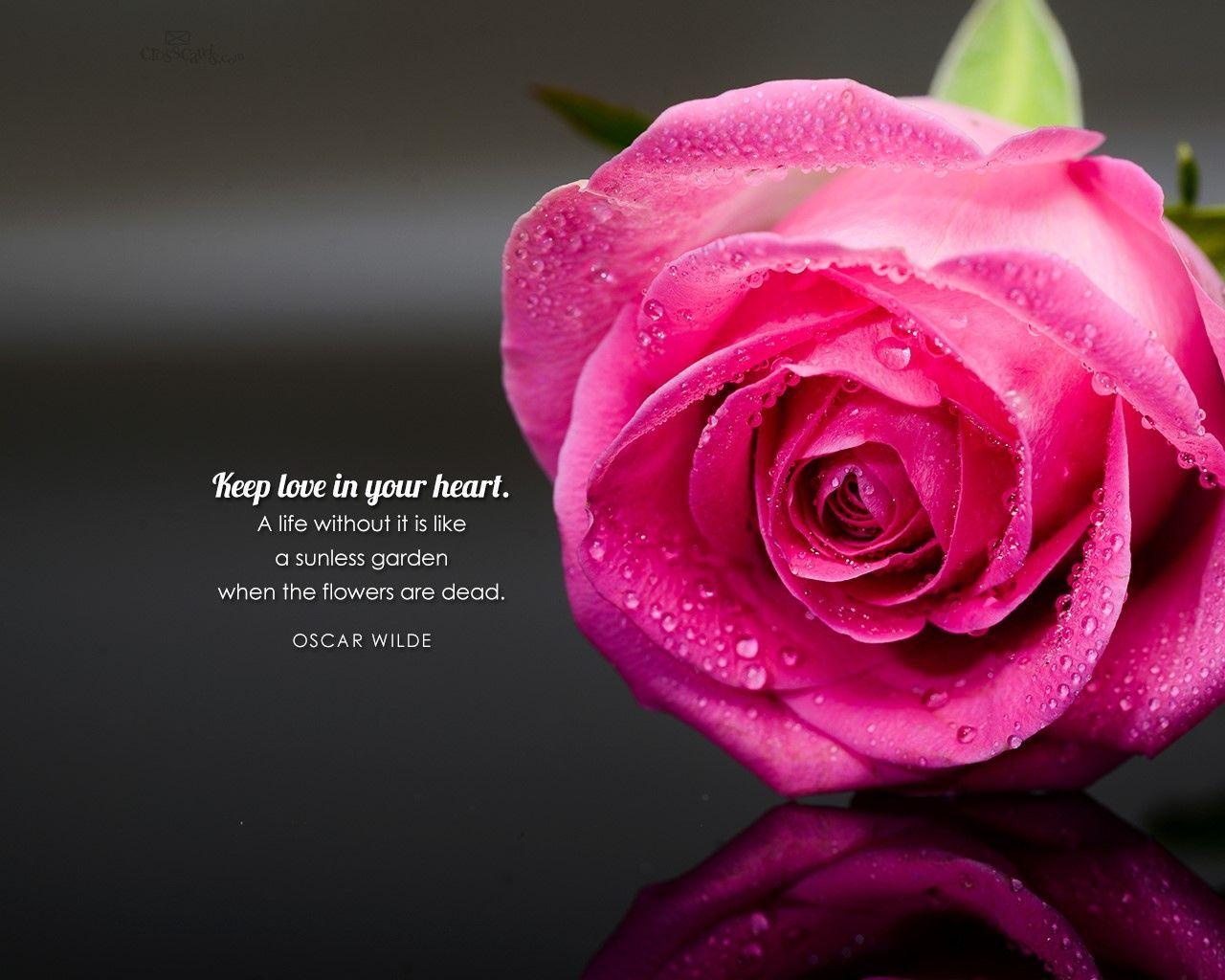 Spring Love Desktop Wallpapers - Top Free Spring Love Desktop ...