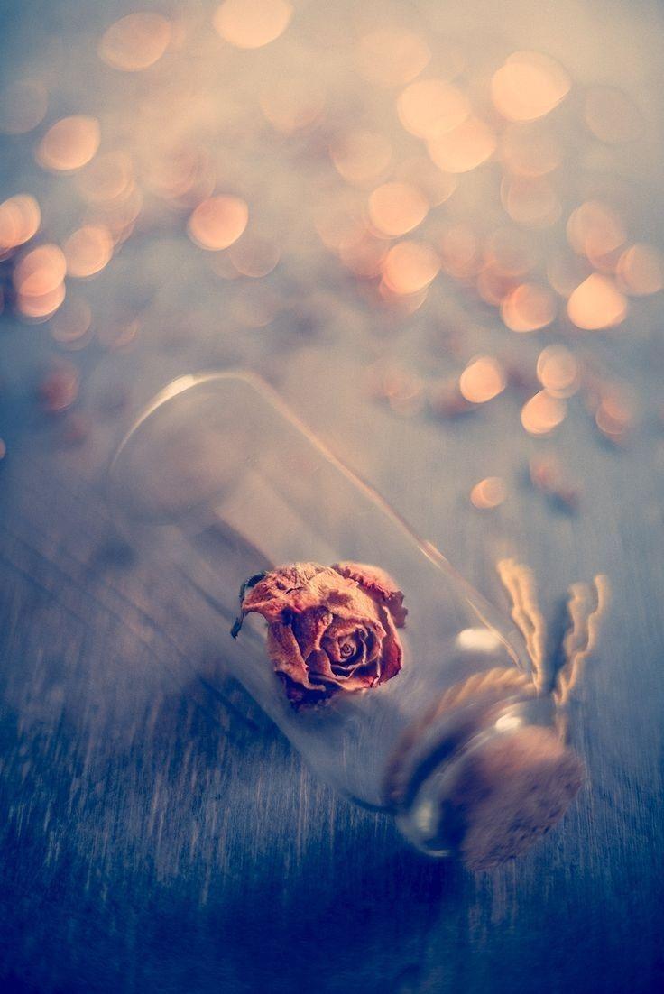 Beautiful Amazing Wallpapers - Top Free Beautiful Amazing Backgrounds ...