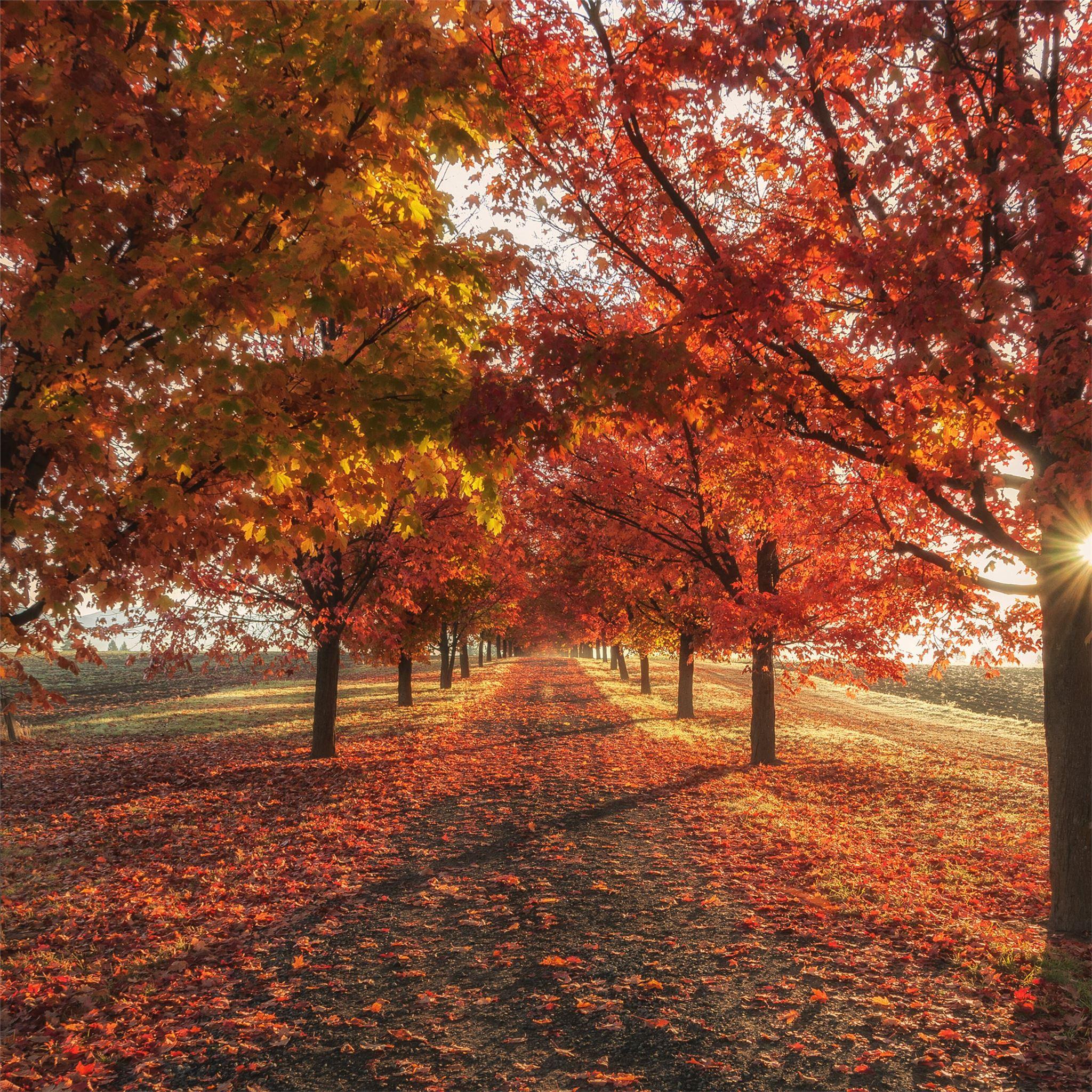 Autumn Weather Wallpapers - Top Free Autumn Weather Backgrounds ...