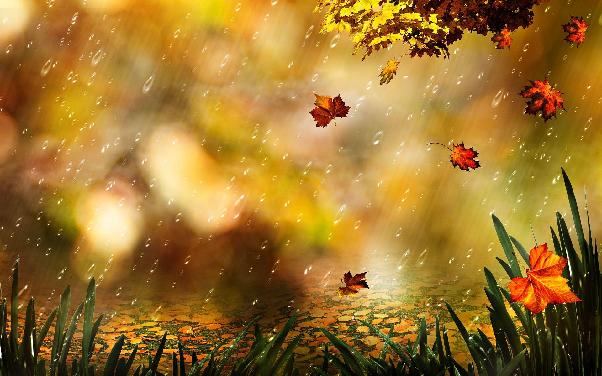 Autumn Weather Wallpapers - Top Free Autumn Weather Backgrounds ...