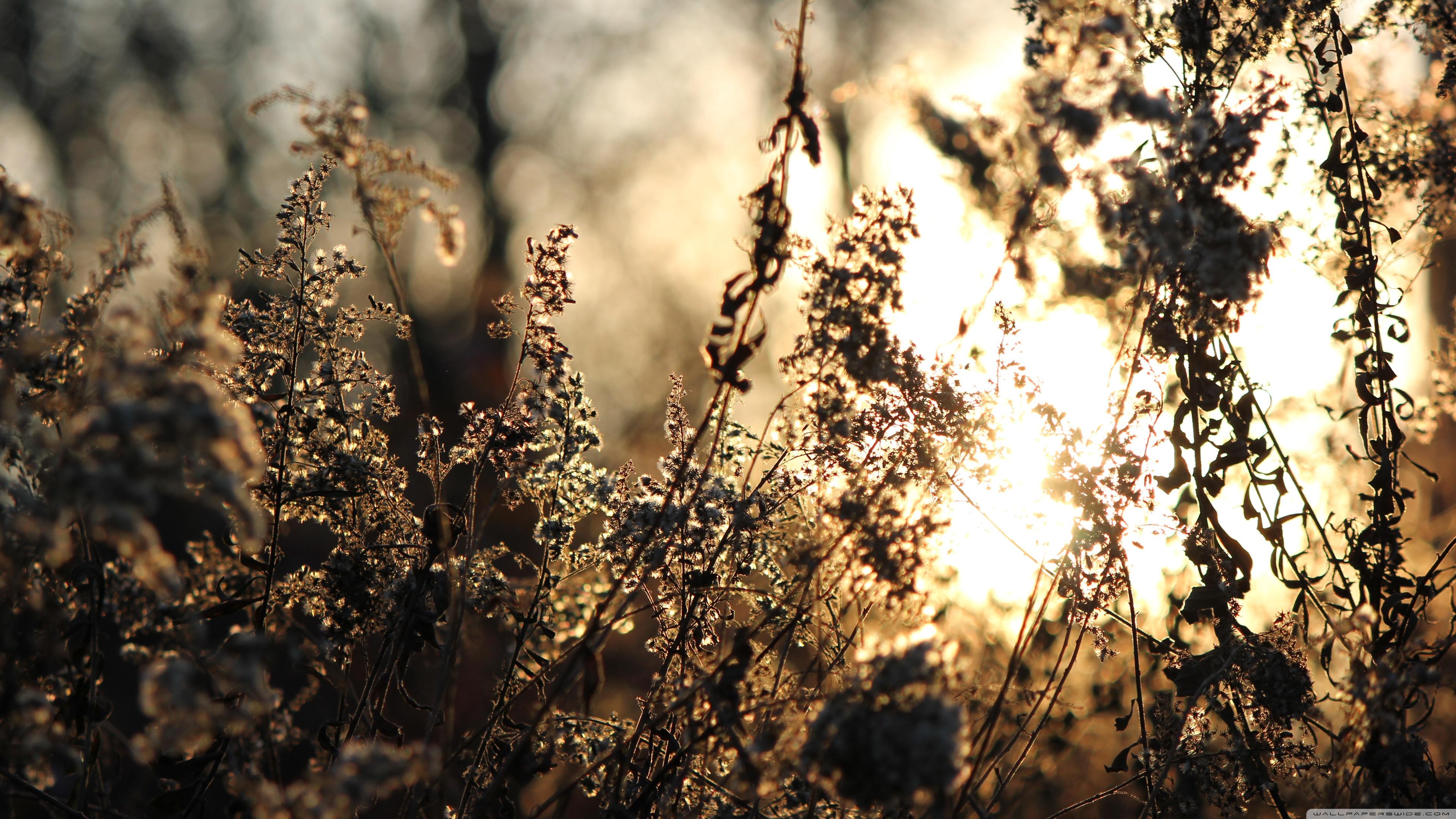 Autumn Weather Wallpapers - Top Free Autumn Weather Backgrounds ...