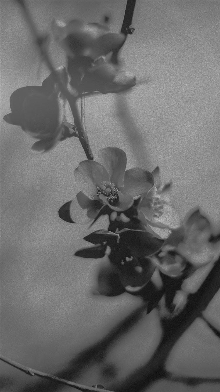 Dark Spring Wallpapers - Top Free Dark Spring Backgrounds - WallpaperAccess