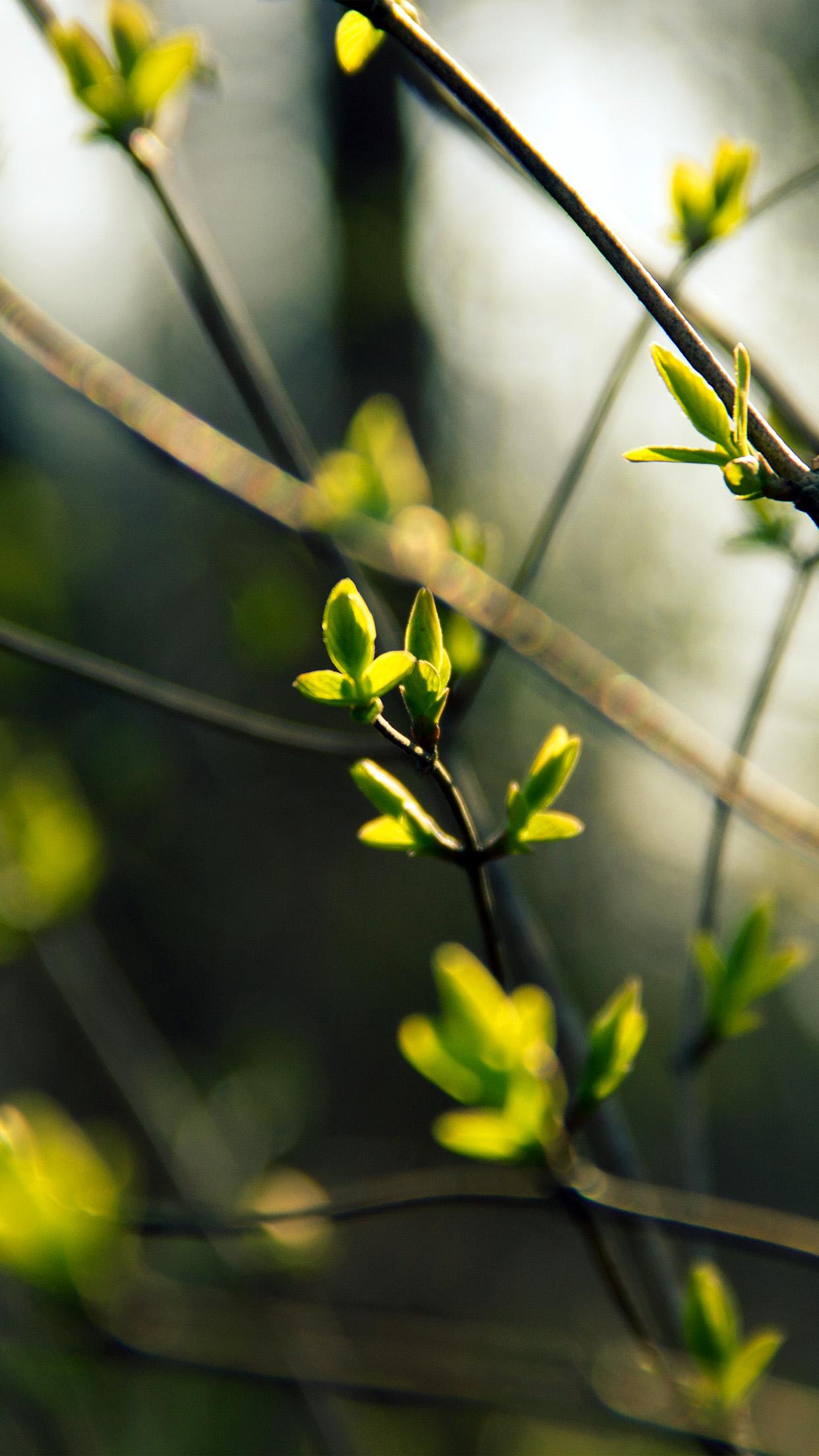 Dark Spring Wallpapers - Top Free Dark Spring Backgrounds - WallpaperAccess